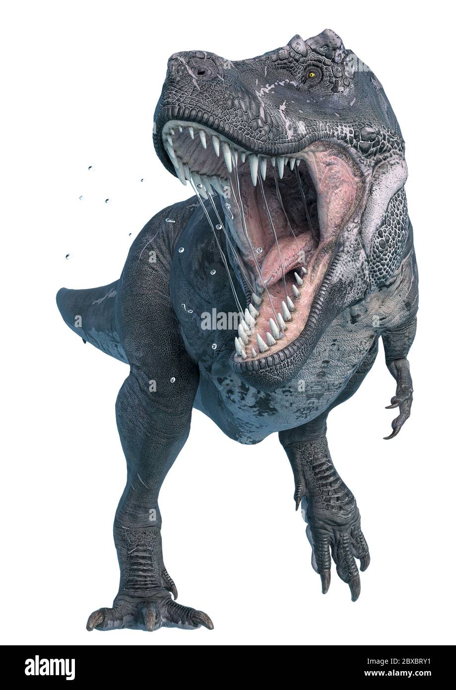 tyrannosaurus rex in anger. This dinosaur in clipping path is very ...