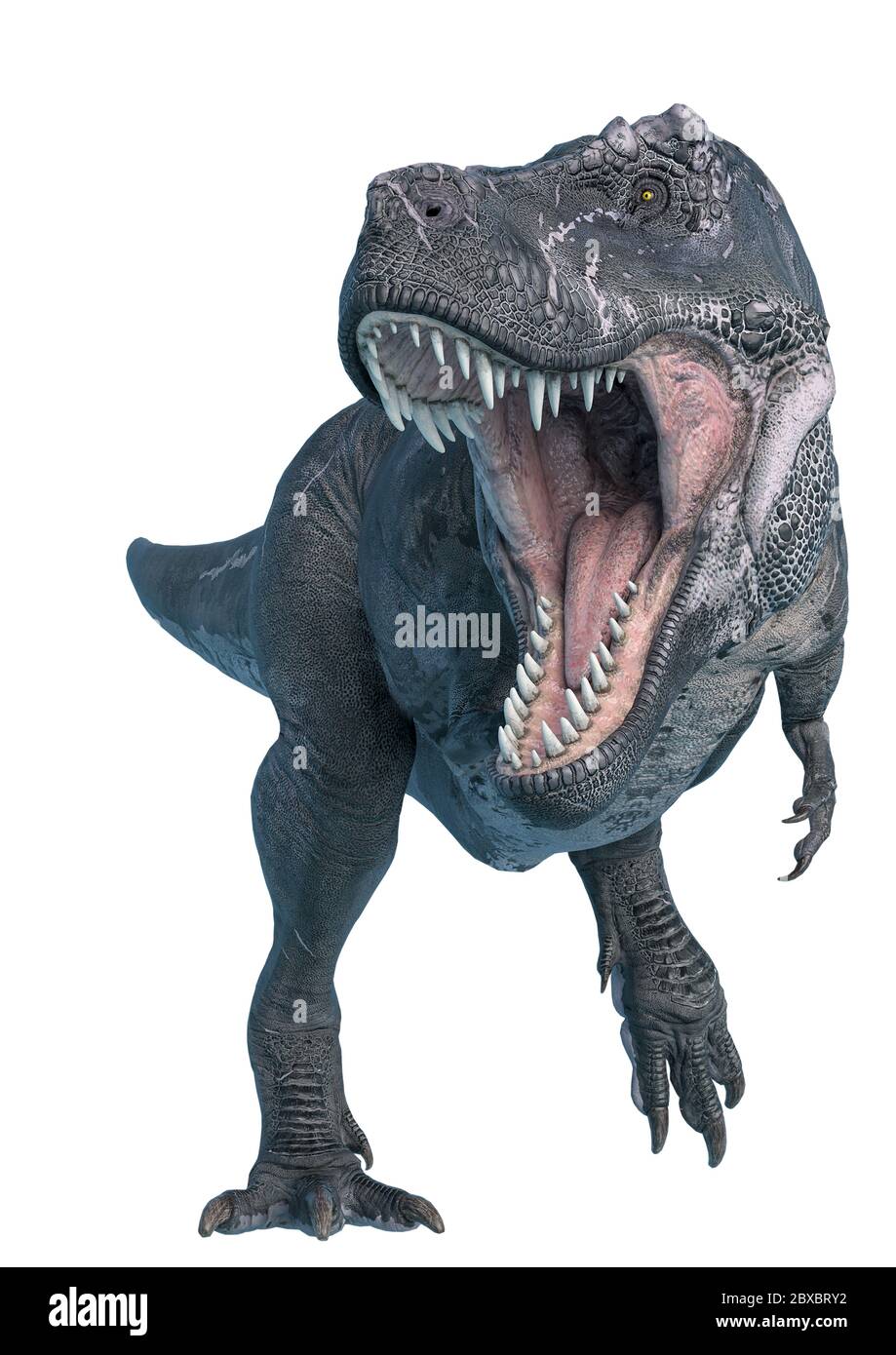 T rex hunting Cut Out Stock Images & Pictures - Alamy