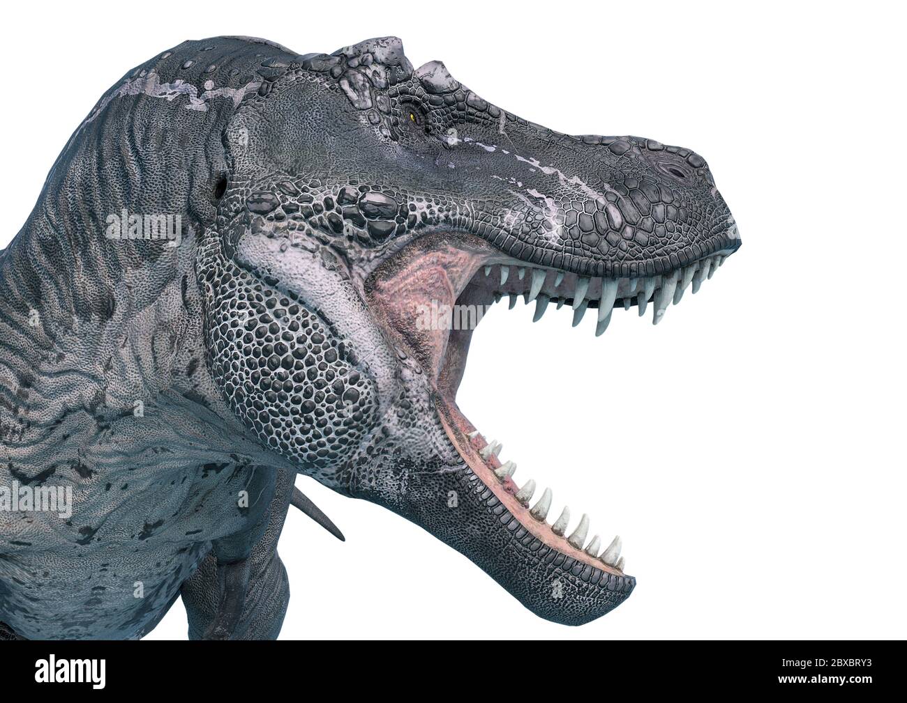 Side view tyrannosaurus rex dinosaur hi-res stock photography and ...
