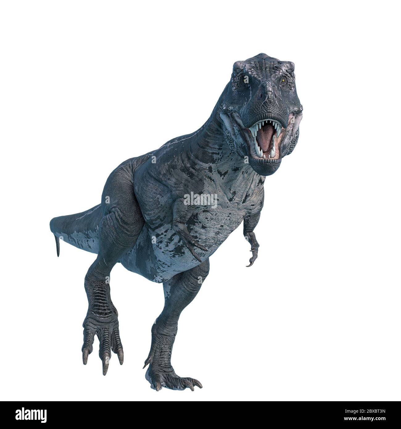 tyrannosaurus rex walking around. This dinosaur in clipping path is ...