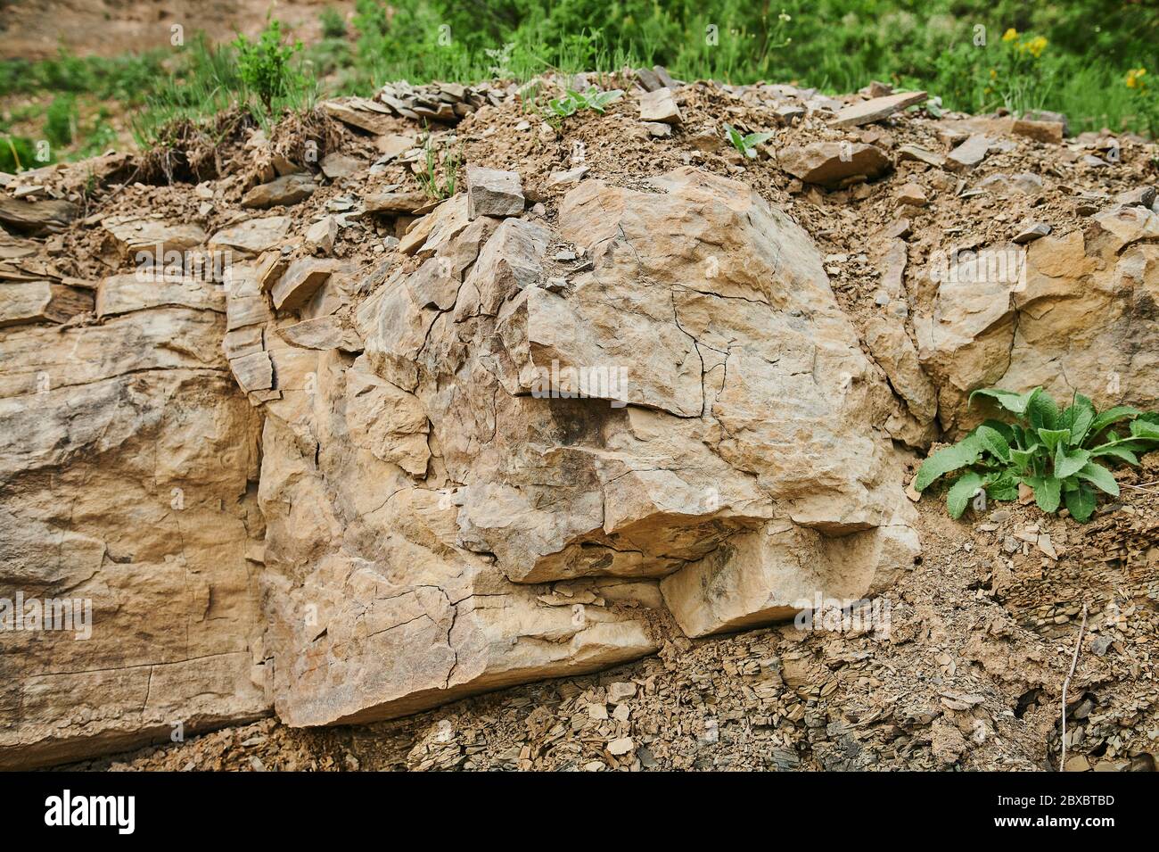 Layers of soil with groundwater. Details of earth layers in a clay pit ...
