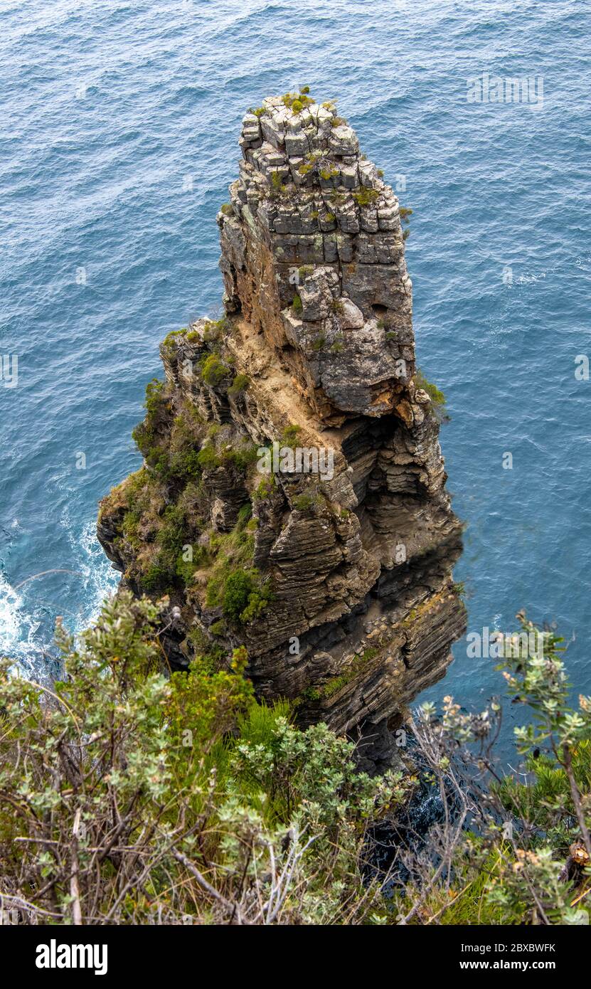 Sea stack Tasman National Park Tasmania Australia Stock Photo - Alamy