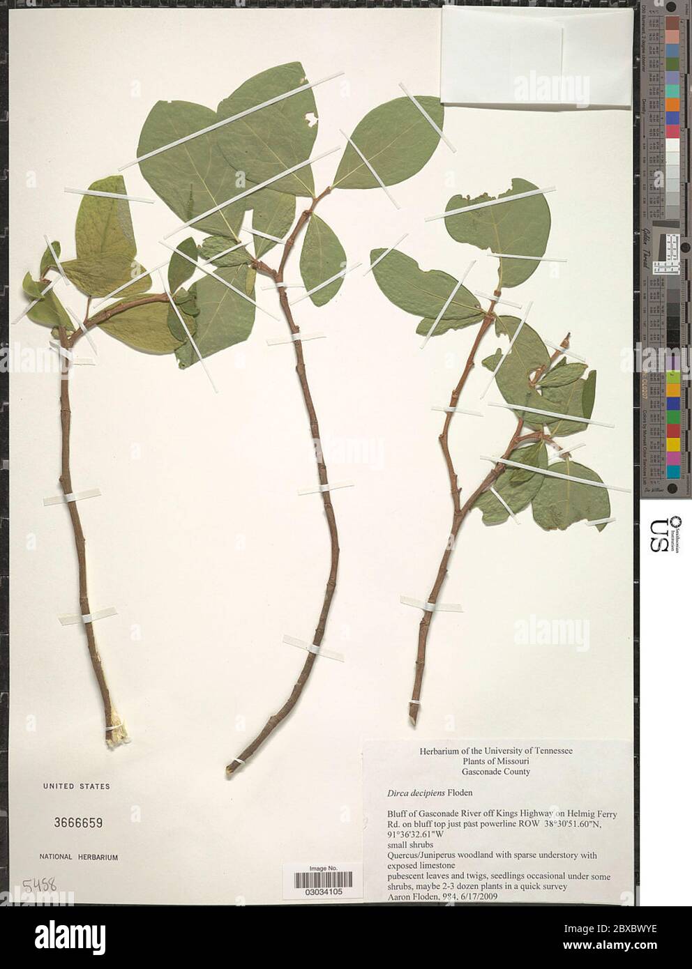 Floden hi-res stock photography and images - Alamy