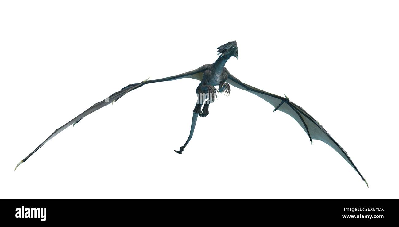 Night Fury Dragon Flying