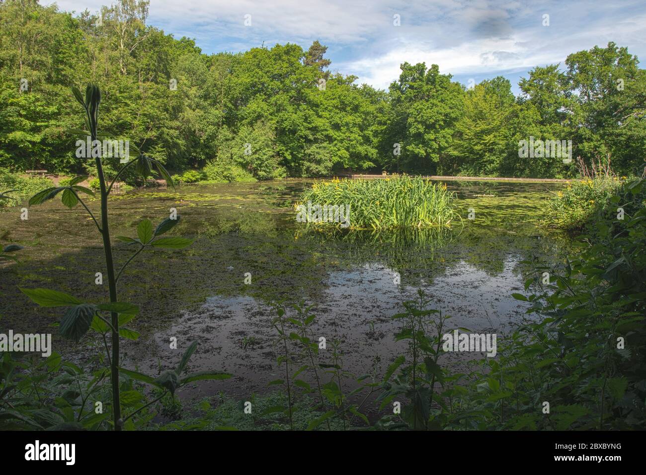 Keston greater london hi-res stock photography and images - Alamy