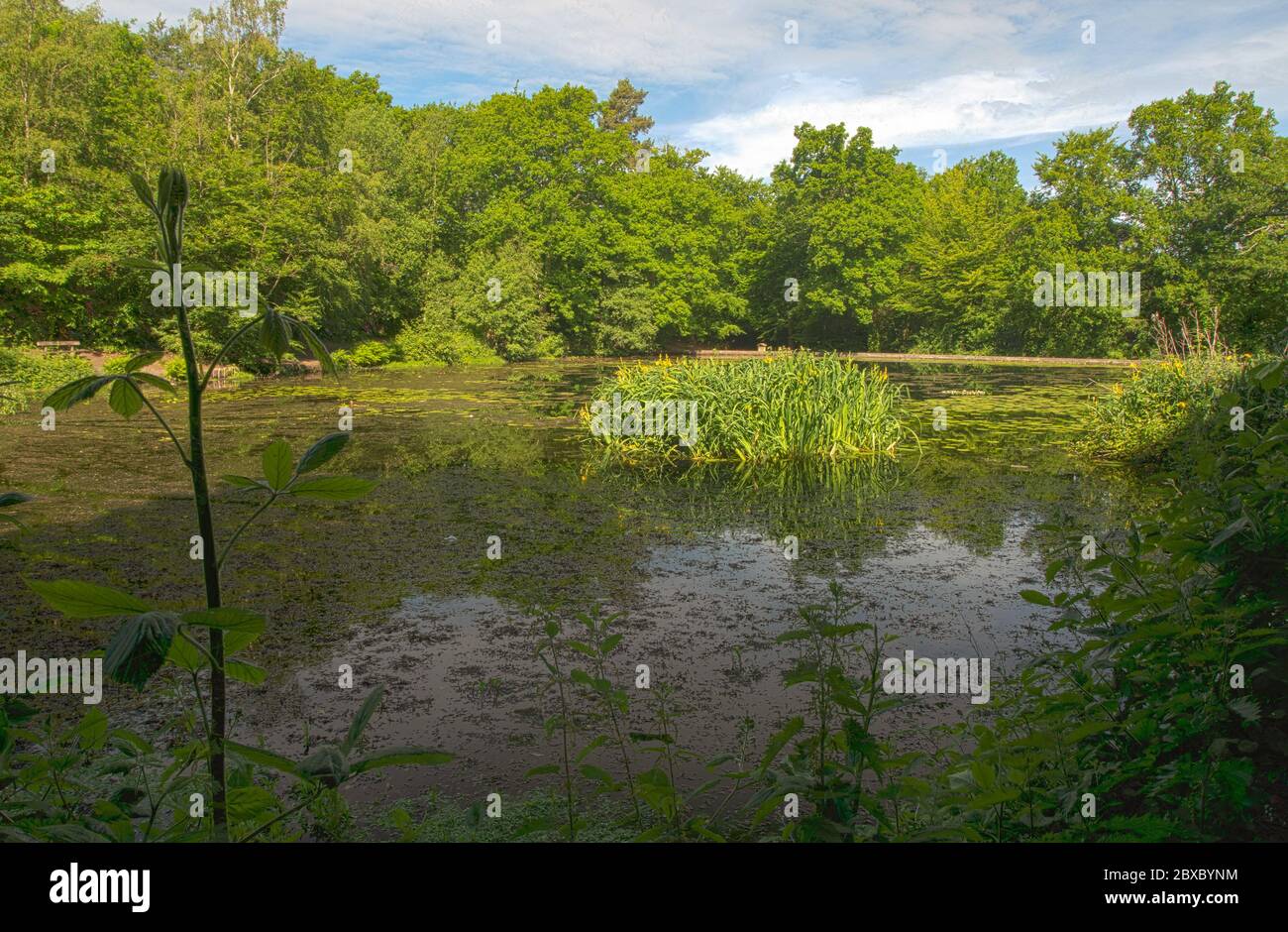 Keston village hi-res stock photography and images - Alamy