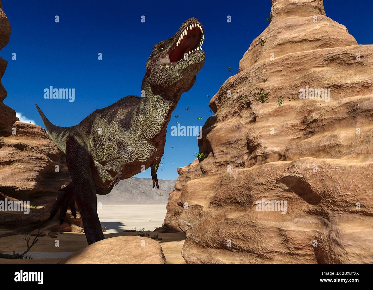 t rex the strongest dinosaur alone is the stone. This tyrannosaure in ...