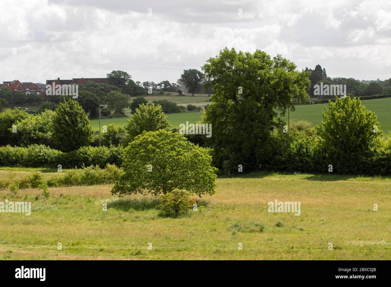 Croydon suburb garden hi-res stock photography and images - Alamy