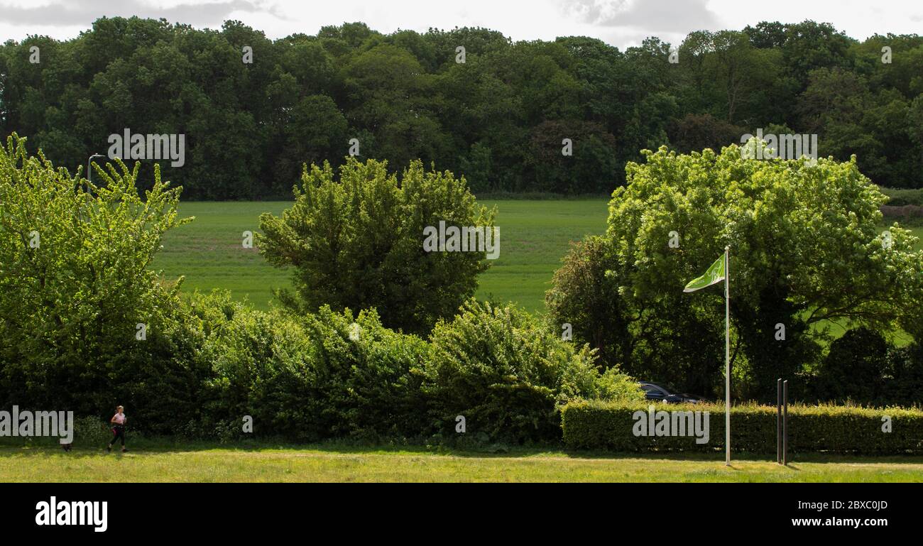 Croydon suburb garden hi-res stock photography and images - Alamy