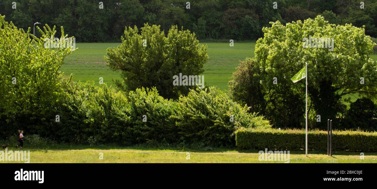 Croydon suburb garden hi-res stock photography and images - Alamy