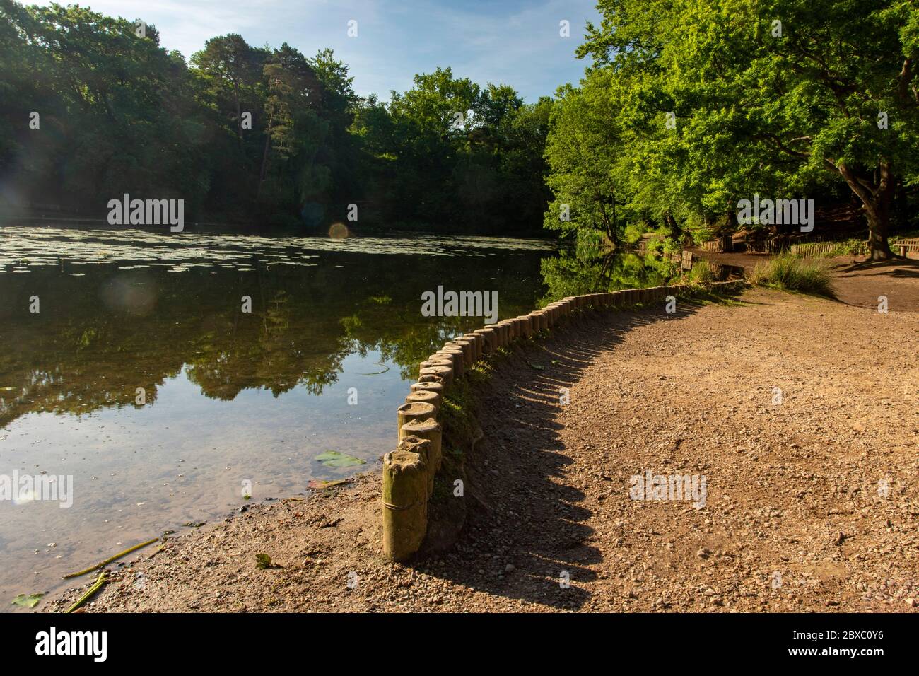 Keston greater london hi-res stock photography and images - Alamy