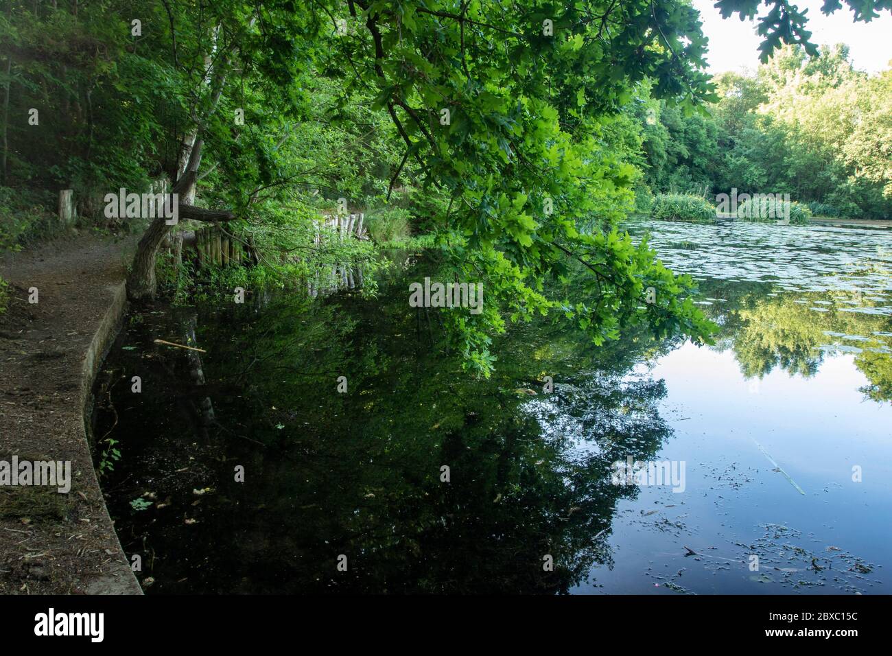 Keston greater london hi-res stock photography and images - Alamy