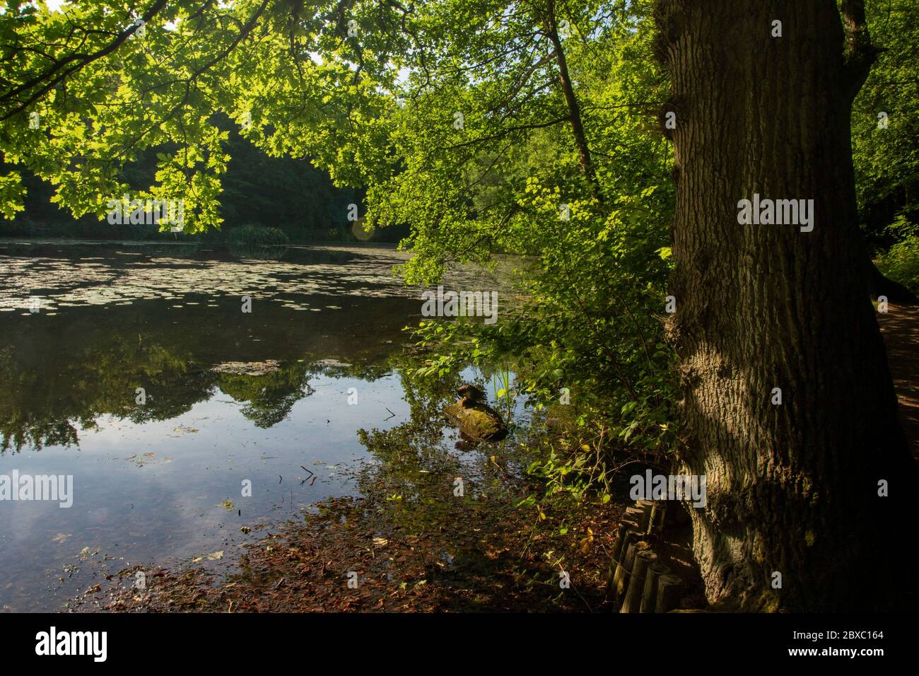 Keston village hi-res stock photography and images - Alamy