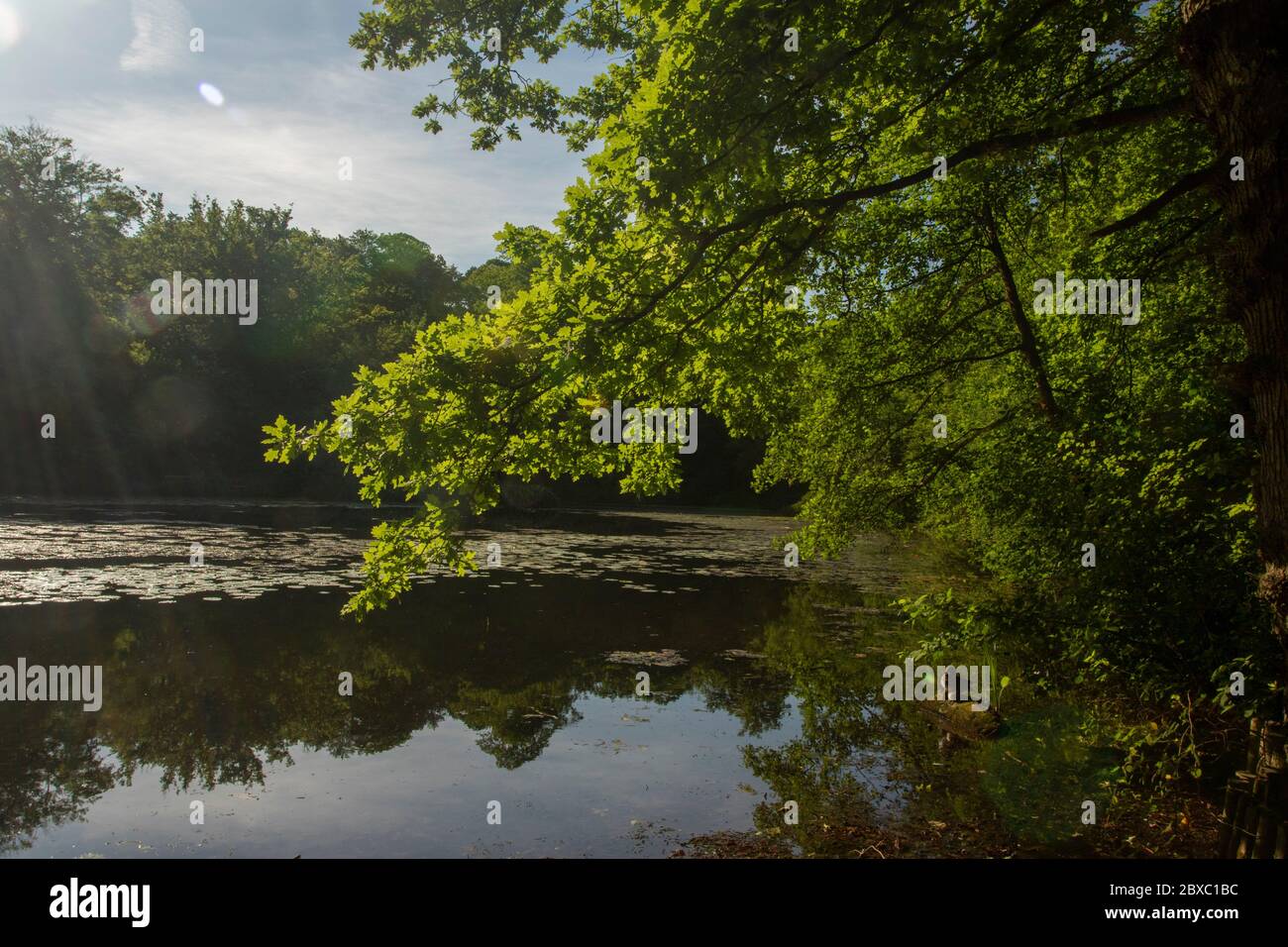 Keston village hi-res stock photography and images - Alamy