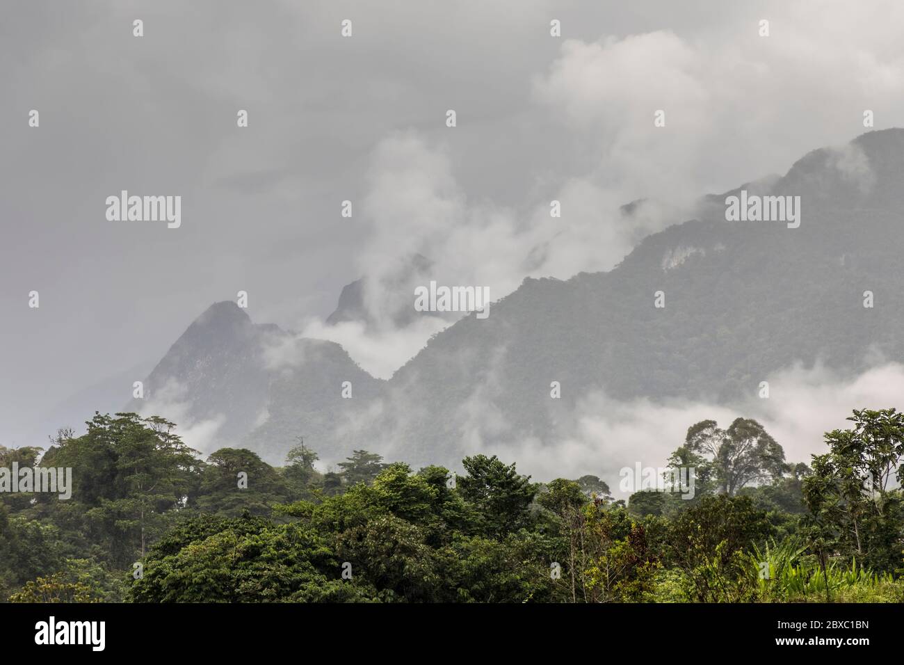 Rainforest and mountains, Gunung Mulu National Park, Sarawak, Malaysia ...