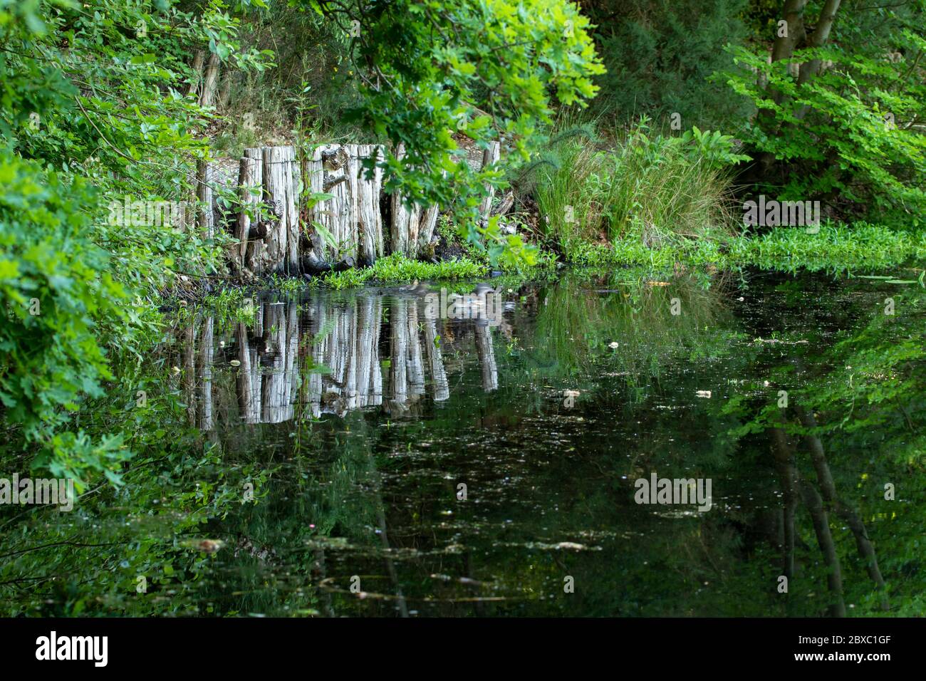Keston village hi-res stock photography and images - Alamy