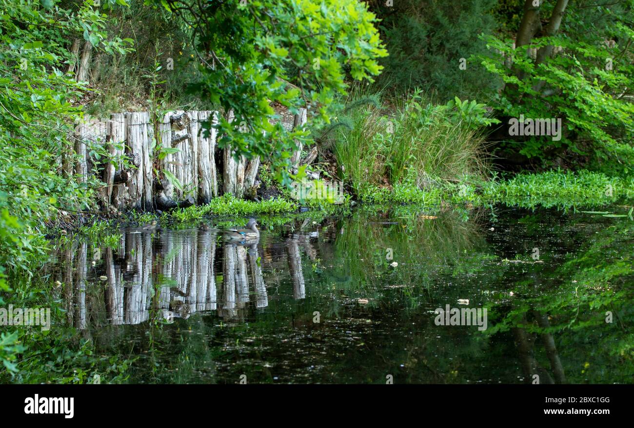 Keston village hi-res stock photography and images - Alamy