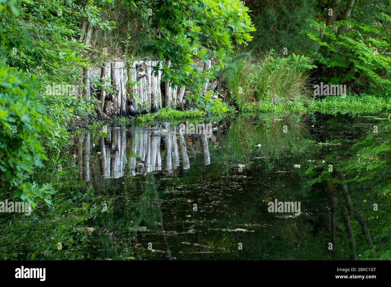 Keston village hi-res stock photography and images - Alamy