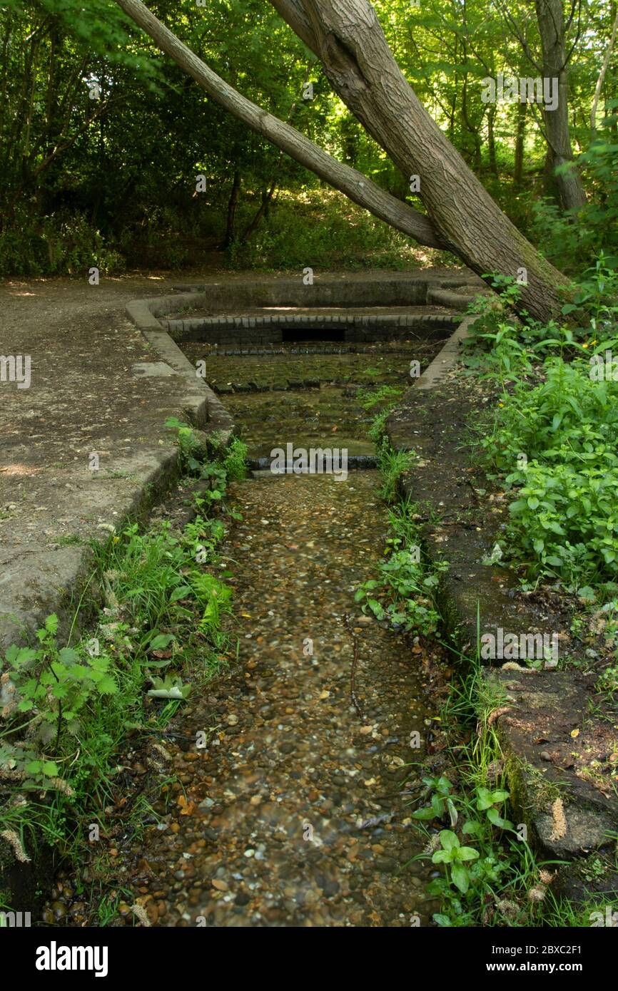 Historic Ceasars Well, source of the River Ravensbourne river, in the ...