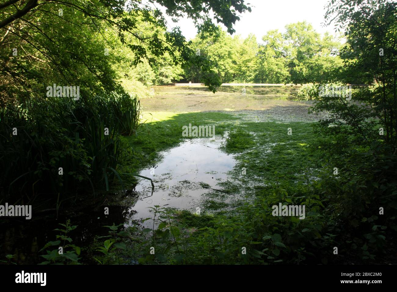 Keston greater london hi-res stock photography and images - Alamy