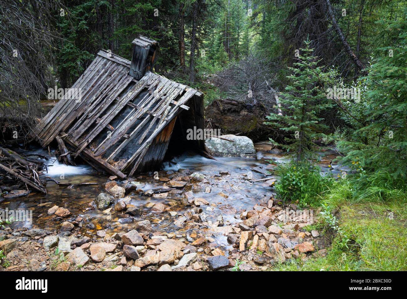 Rotting wood shack hi-res stock photography and images - Alamy