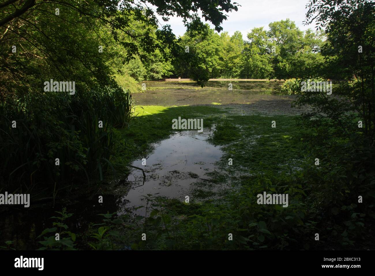 Keston greater london hi-res stock photography and images - Alamy