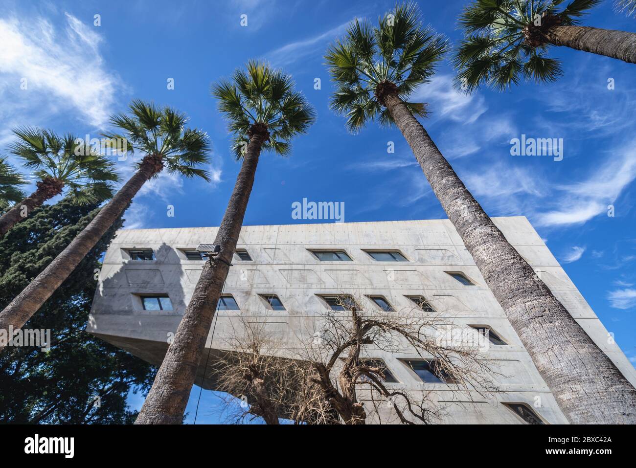 Issam fares institute in beirut hi-res stock photography and images - Alamy