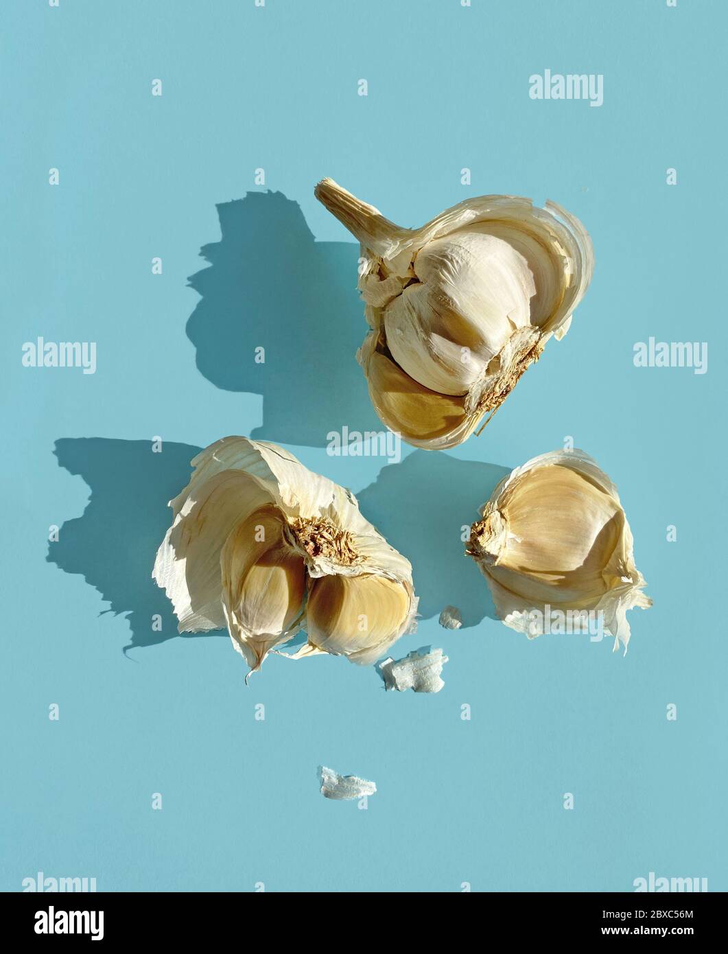 garlic with long shadows isolated on blue background, top view Stock ...