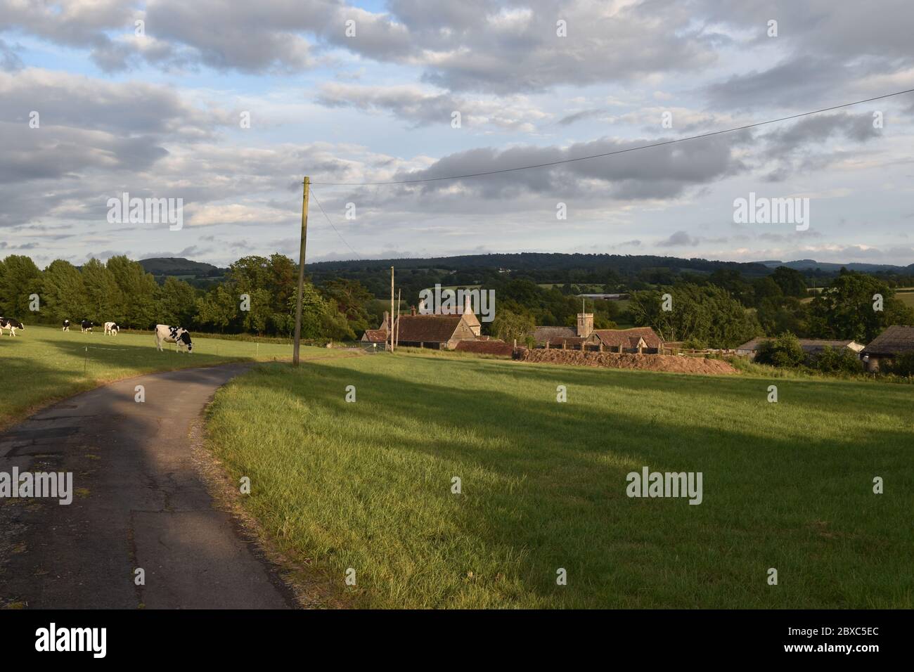 Rodden farm hi-res stock photography and images - Alamy