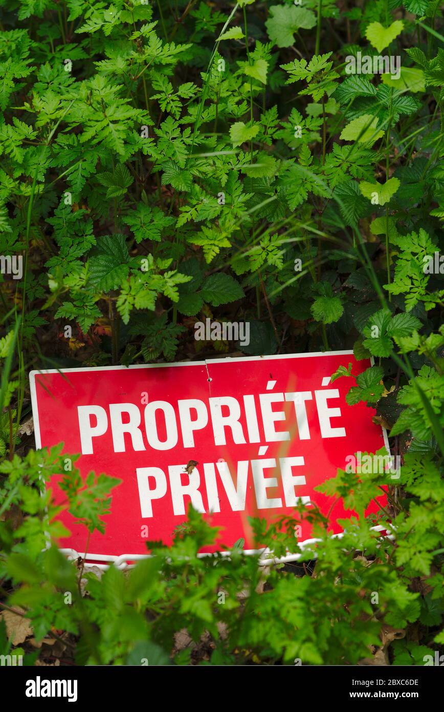 red sign 'private property' in the green leaves Stock Photo - Alamy