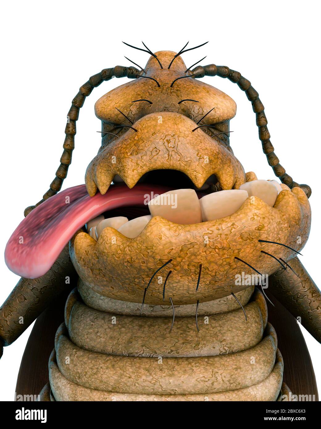cockroach cartoon. This bug in clipping path will put some fun at yours ...