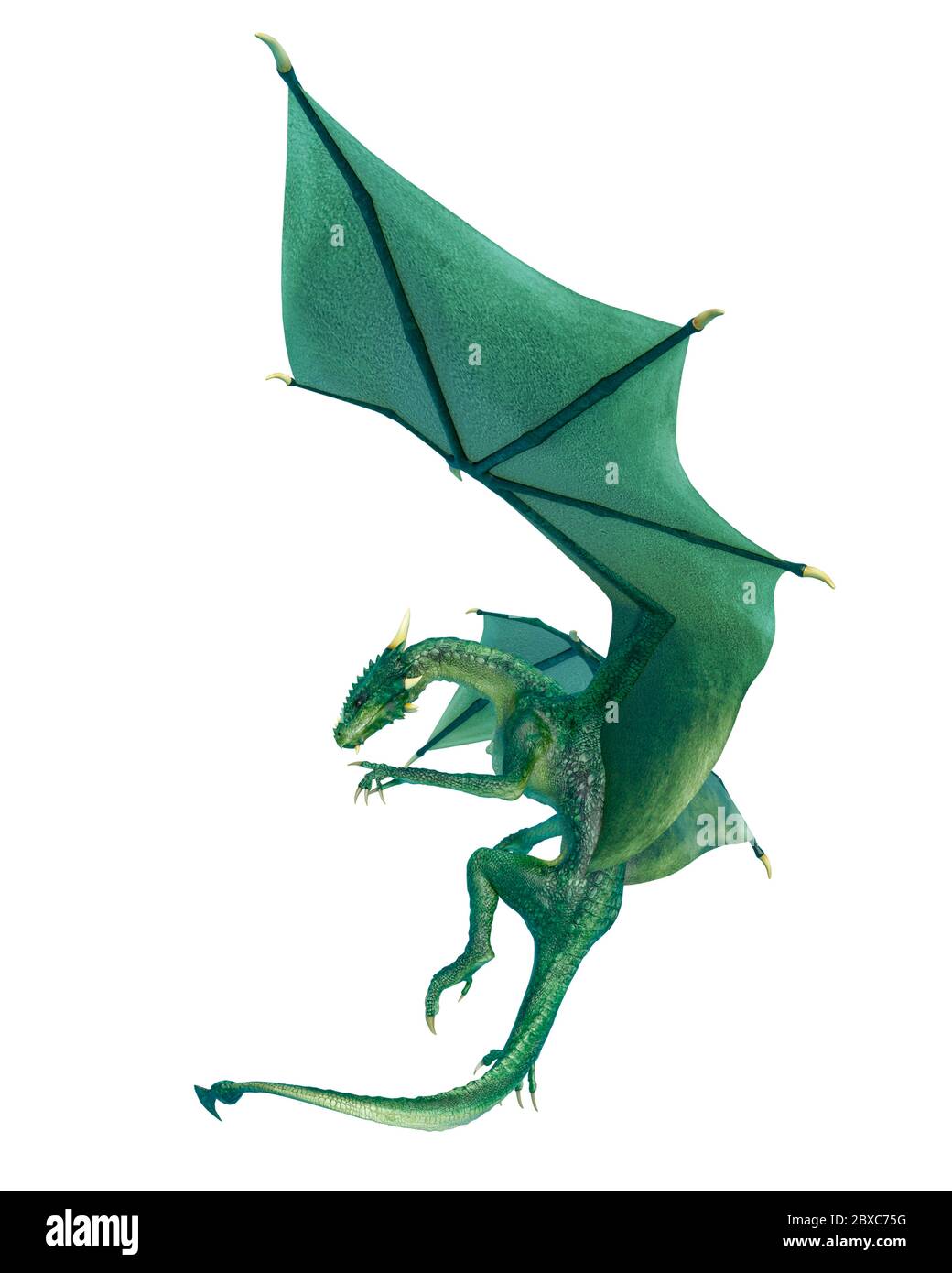 Dragon Side And Front View