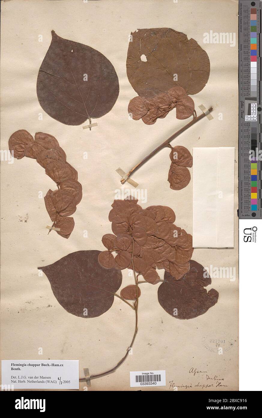 Chappar hi-res stock photography and images - Alamy