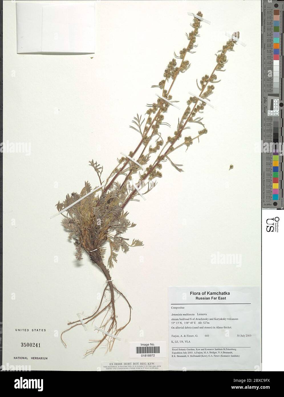 Multisecta hi-res stock photography and images - Alamy