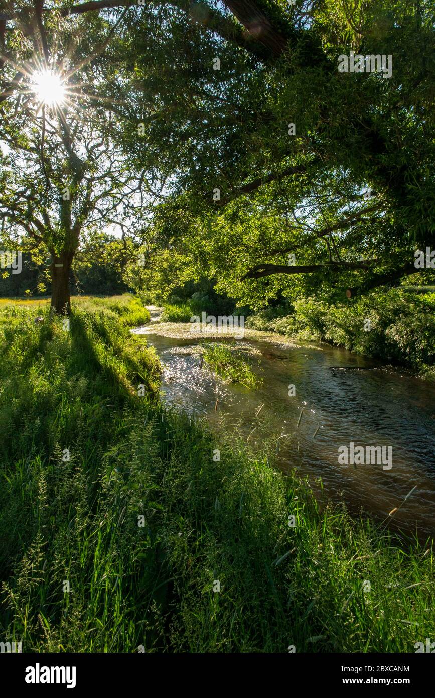 The River Darent in Kent in summer, looking beautiful Stock Photo - Alamy