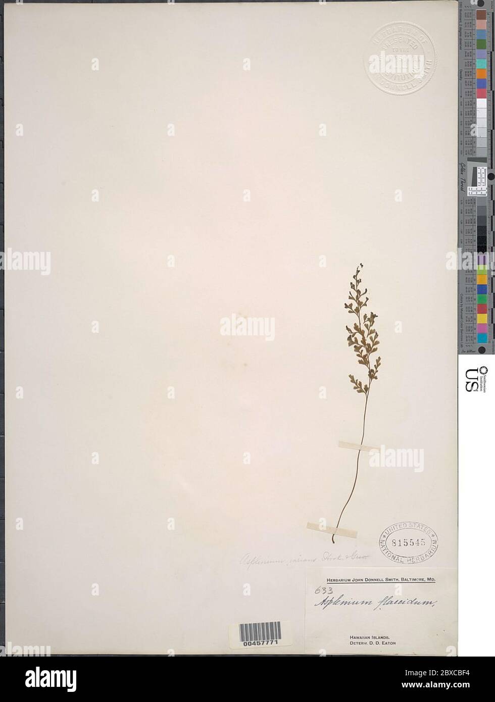 Varians hi-res stock photography and images - Alamy