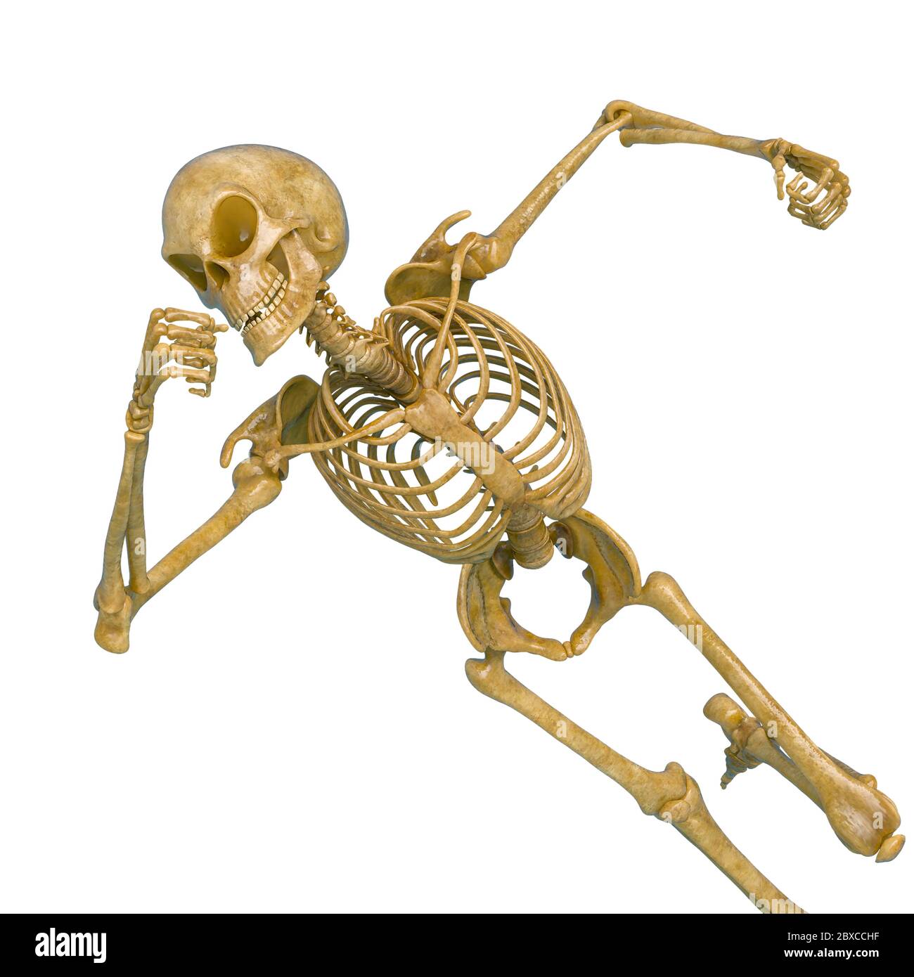 skeleton is running so fast in a white background. This guy in clipping ...