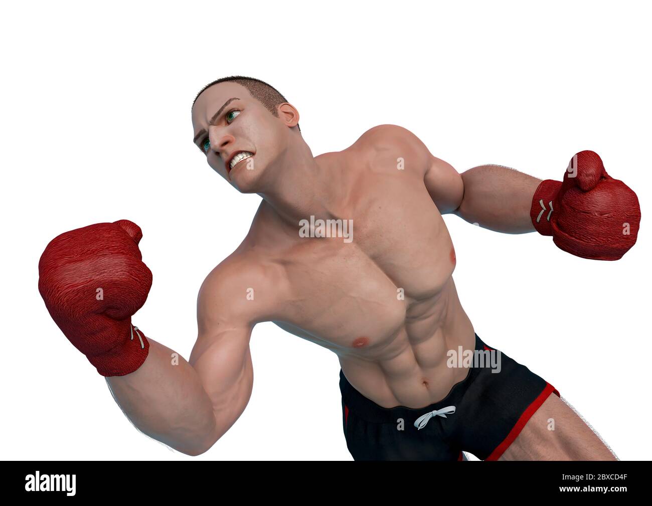 Fighter Boxer Animation