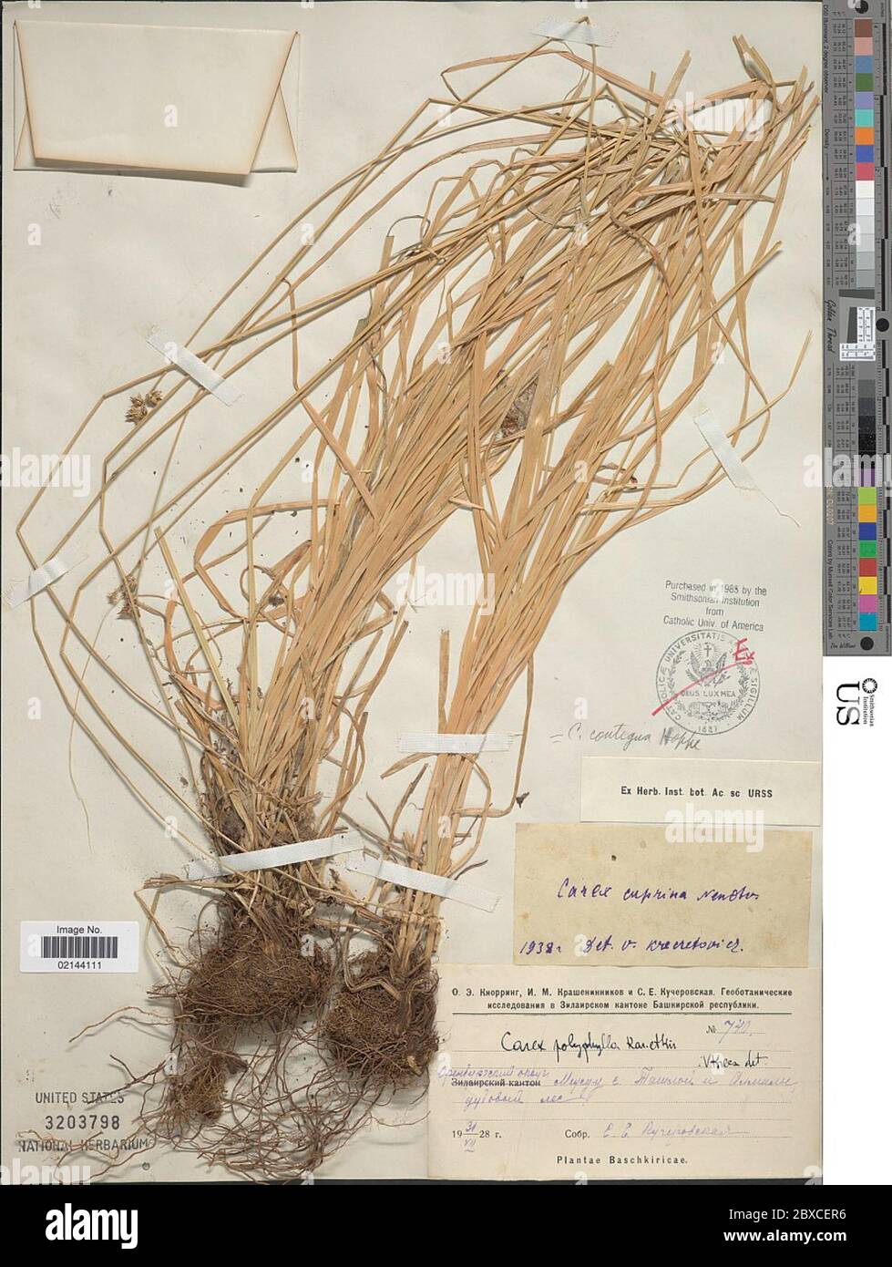 Contigua hi-res stock photography and images - Alamy