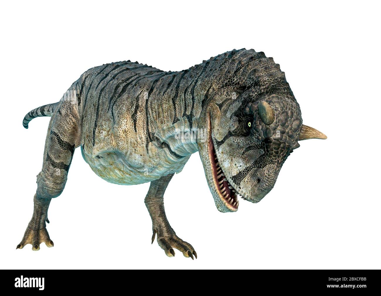carnotaurus sastrei charging in a white background. This carnotaurus ...