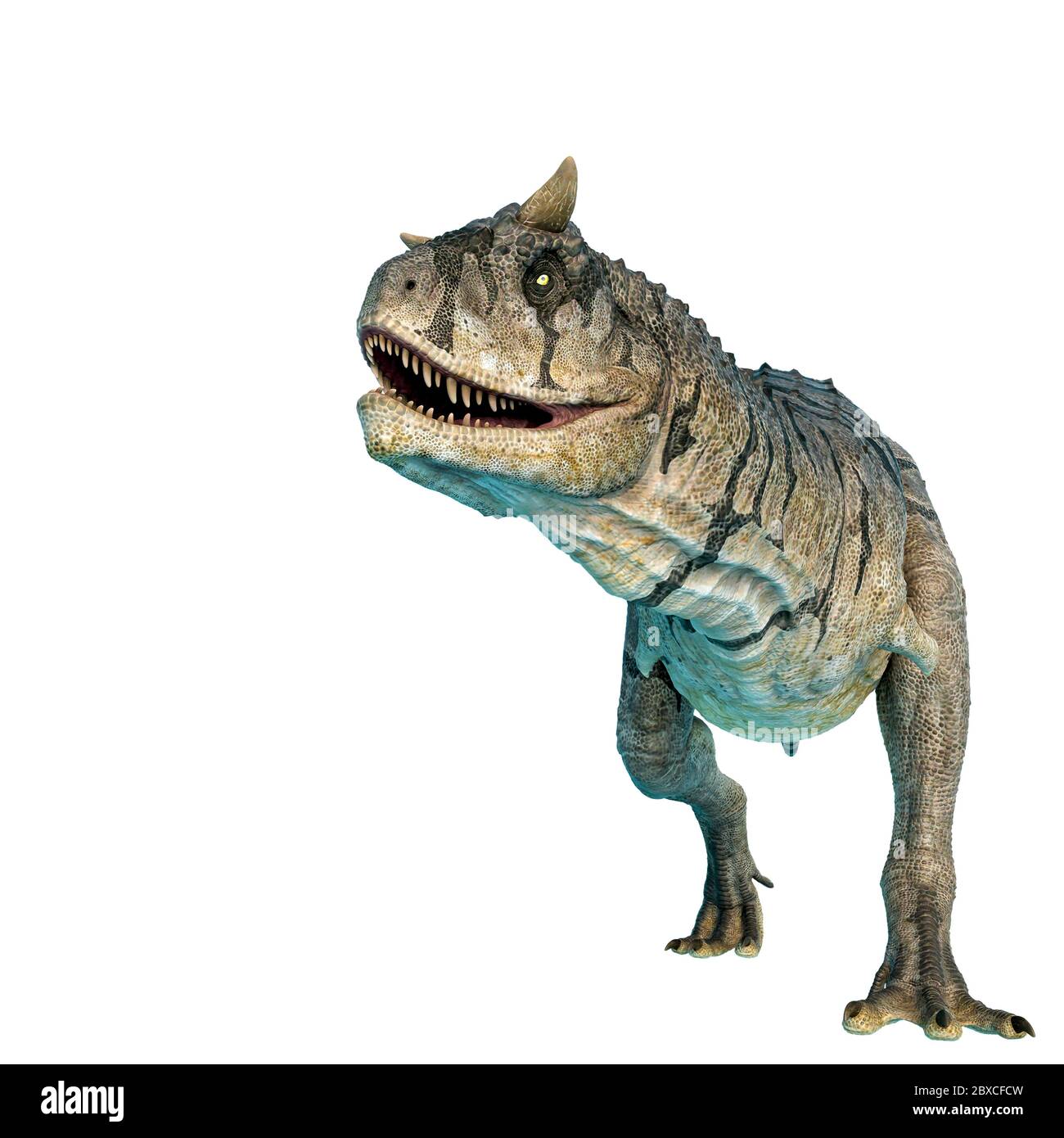 Carnotaurus sastrei hi-res stock photography and images - Alamy