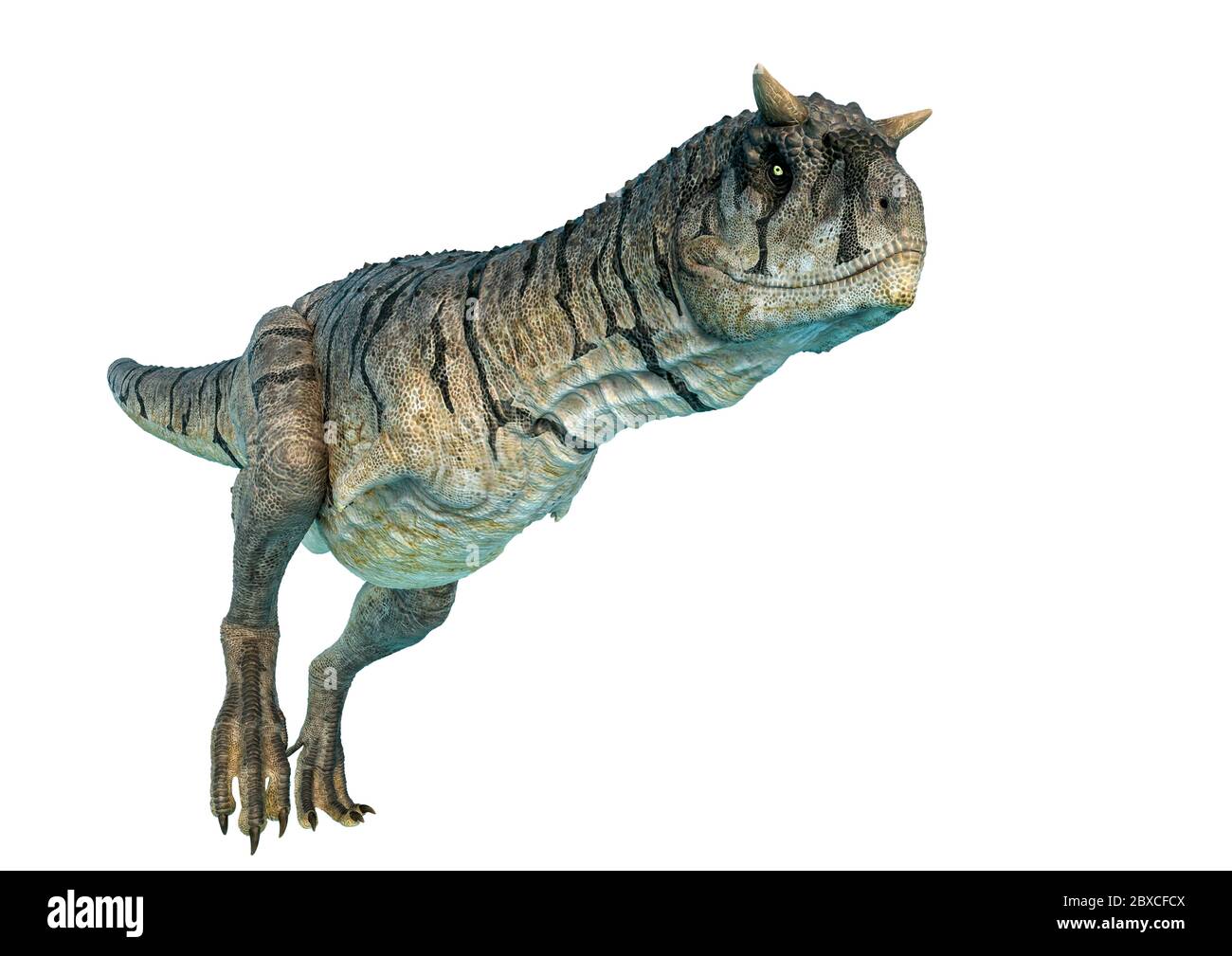 Carnotaurus hi-res stock photography and images - Alamy