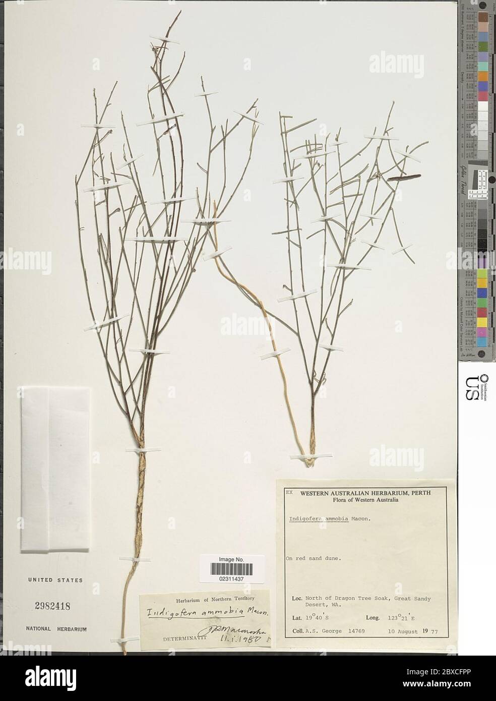 Maconochie hi-res stock photography and images - Alamy