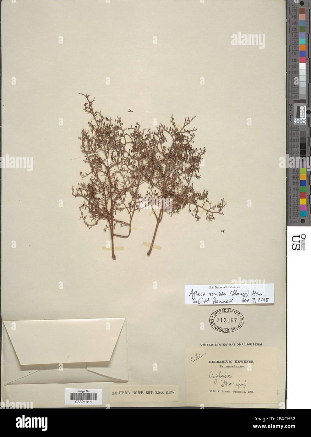 Rimosa hi-res stock photography and images - Alamy