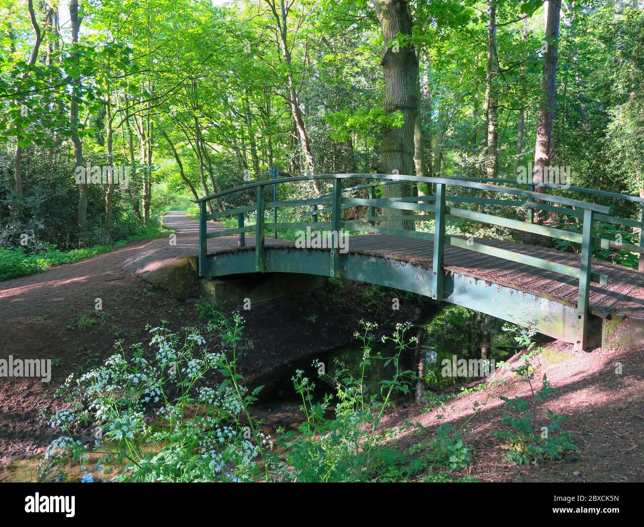Boultham Park Lincoln, Lincolnshire, hidden bridge, pooh bridge, poo ...