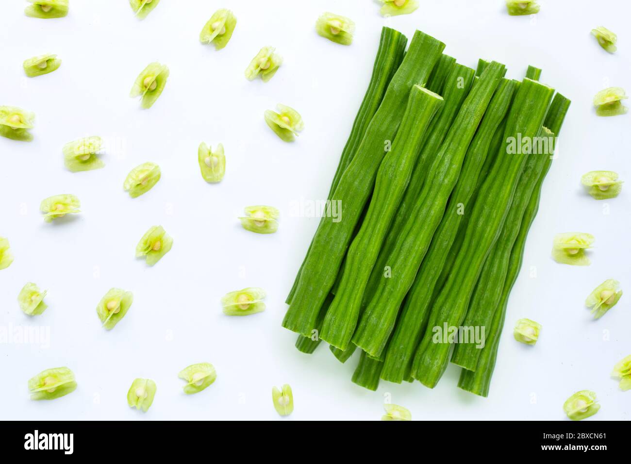 Moringa oleifera with fresh seeds isolated on white background Stock ...