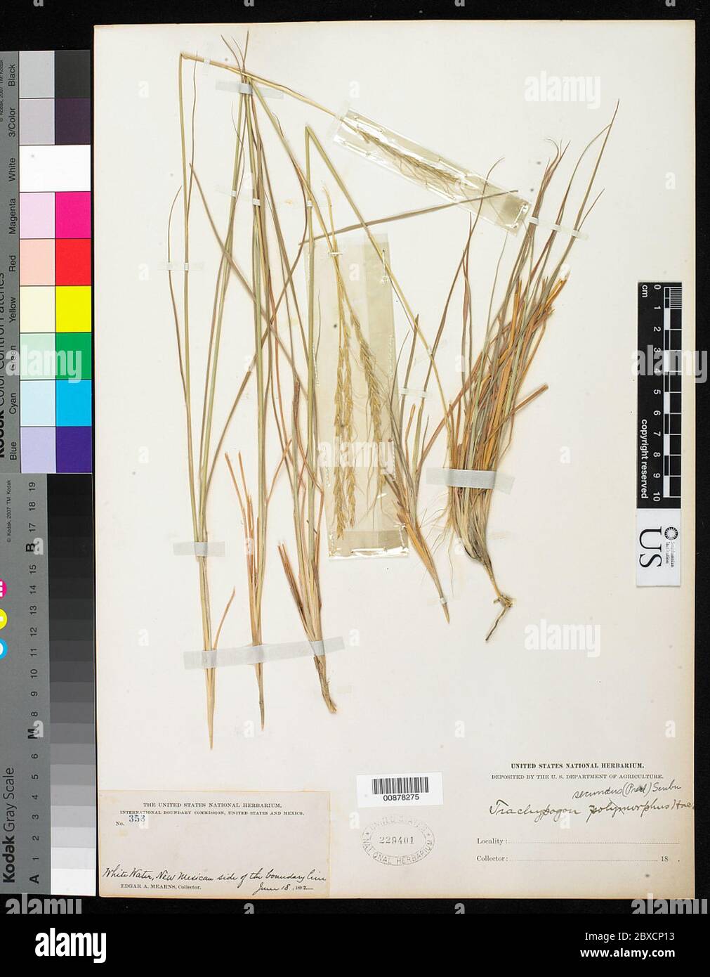 Scribn hi-res stock photography and images - Alamy