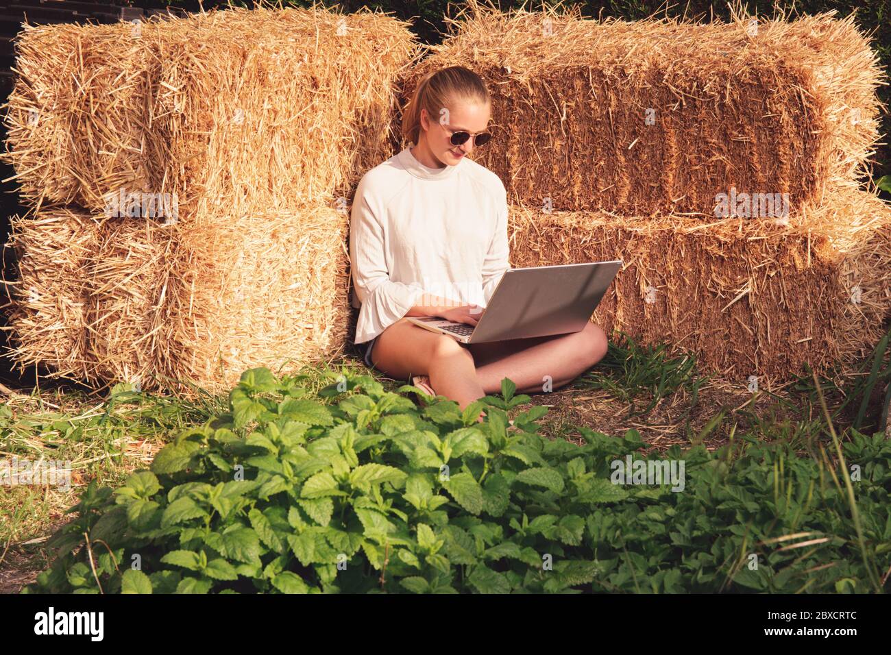 Young woman on a hay bale hi-res stock photography and images - Alamy