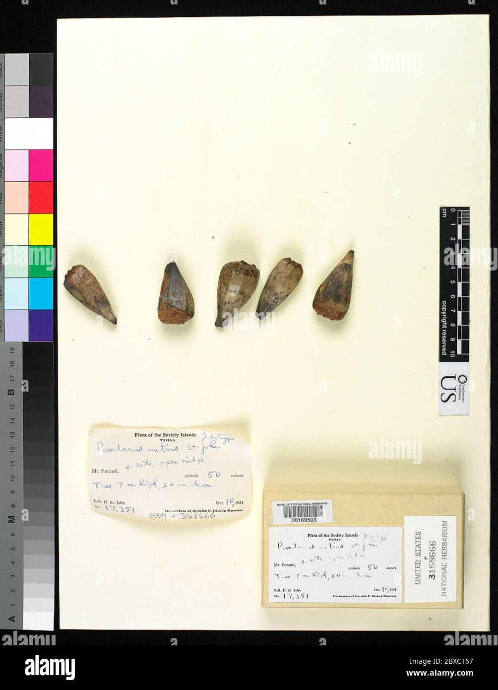 Metius hi-res stock photography and images - Alamy