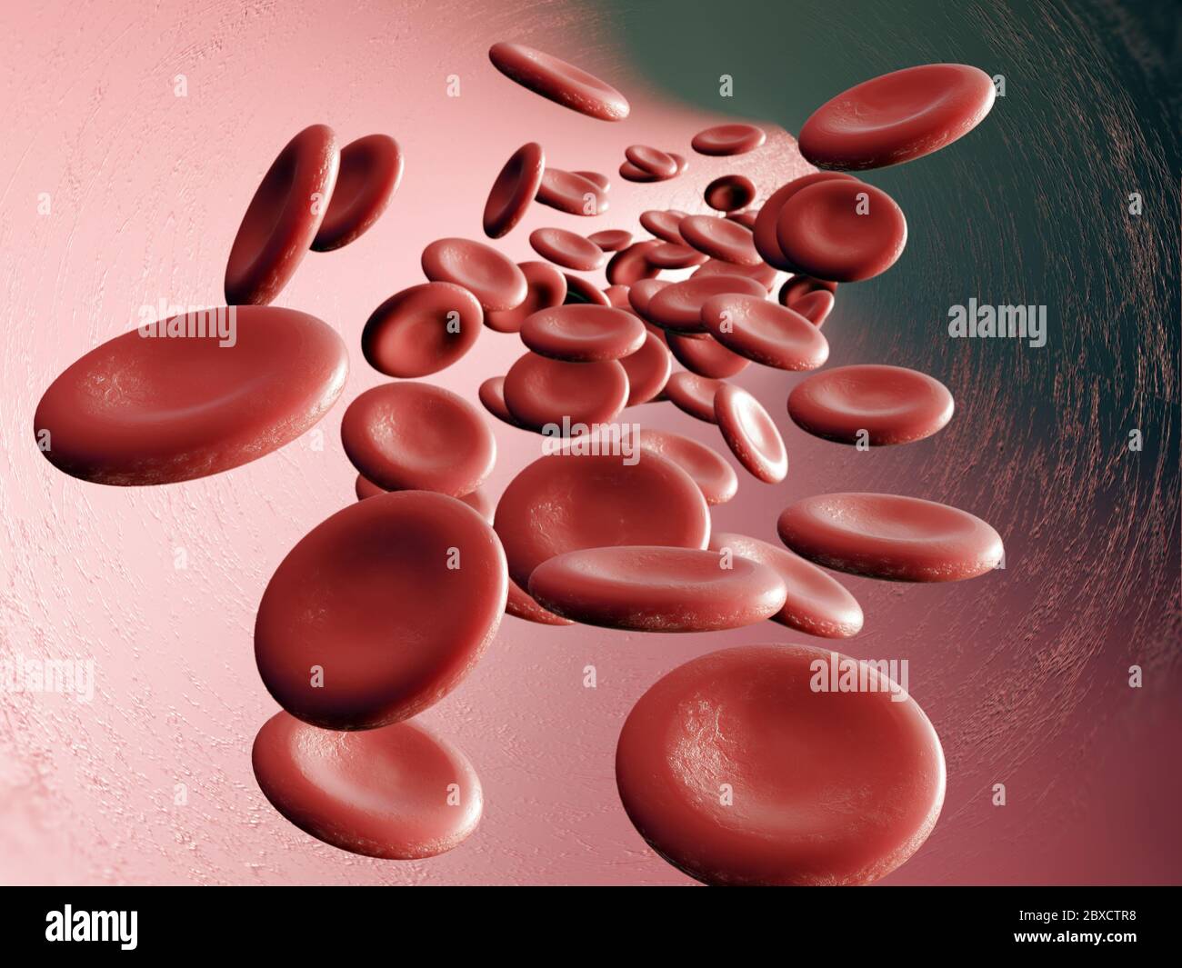 healthy red blood cells in a blood vessel. 3d illustration Stock Photo ...